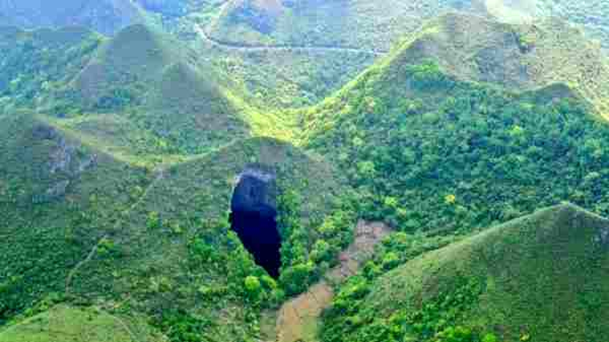 Cave Explorers Found Ancient Forest At The Bottom Of A Giant Heavenly ...